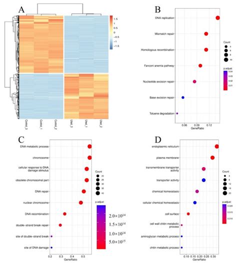 Fermentation An Open Access Journal From Mdpi