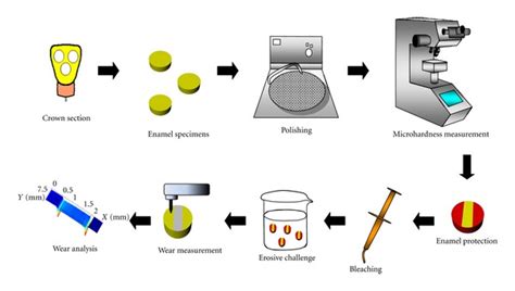Schematic Representation Of Sample Preparation And Analysis Download Scientific Diagram