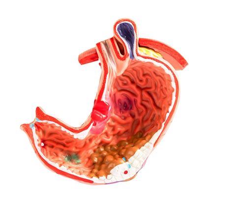 Sex Simple Teknikker Giver Kvinder Mere Nydelse