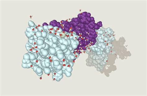 Tinker Molecular Modeling Software At Harold Case Blog