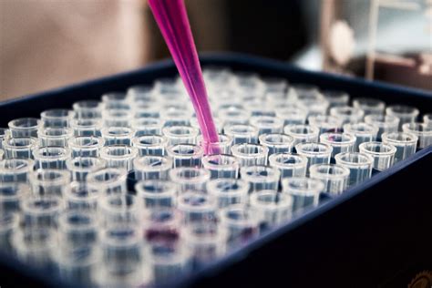 Chemical Impurity Testing And Analysis Leeder Analytical