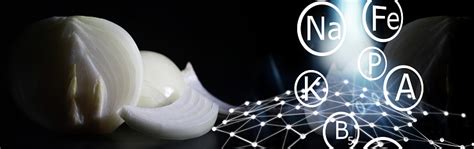 검은 색 배경에 신선한 양파 전구 전구 양파는 비타민이 풍부하고 유용한 봄입니다 어두운 배경에 양파 껍질 얇게 썬 양파 0명에