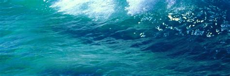 Hiragana Times Japanese Language Proficiency Test It Is Scheduled To Take Place On December 4