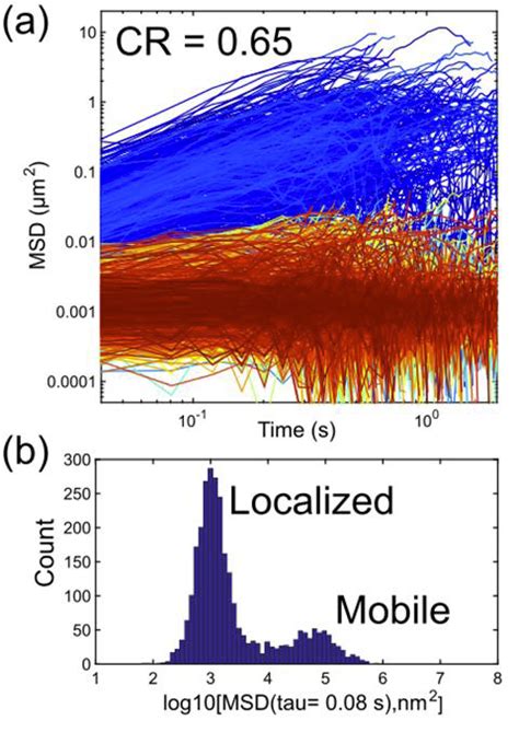 Report Nanosphere And Nanorod Diffusion In Polymer Melts 62nd Annual