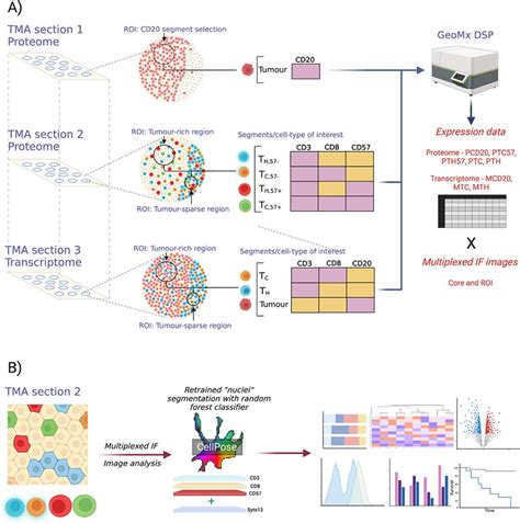 Spatially Resolved T Cell Microenvironment In Mantle Cell Lymphoma Using Combined Image