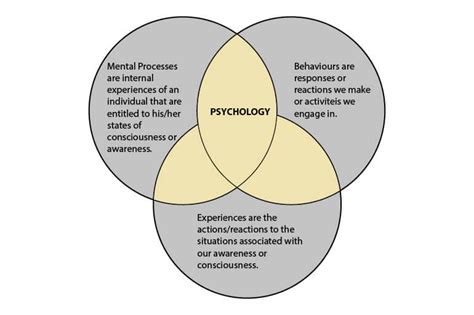 What Is Psychology Dynamics Therapy Group