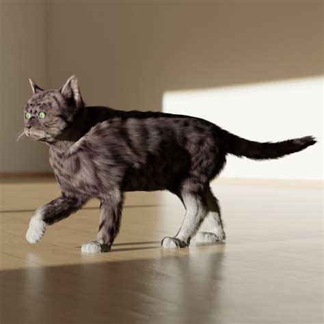 Domestic Cat Rigged Free 3d Mammal Models Blenderkit