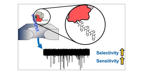 Improving The Performance Of Selective Solid State Nanopore Sensing Using A Polyhistidine Tagged