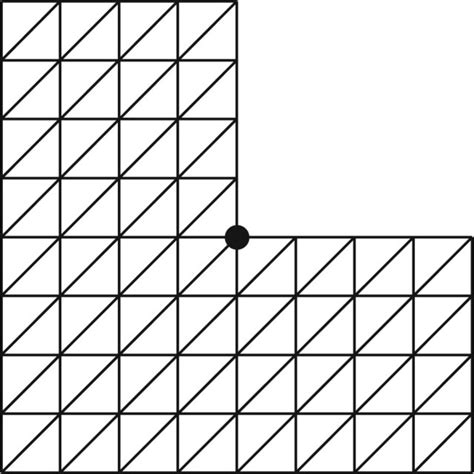 coarse grid left mesoscopic grid middle and locally fine grid