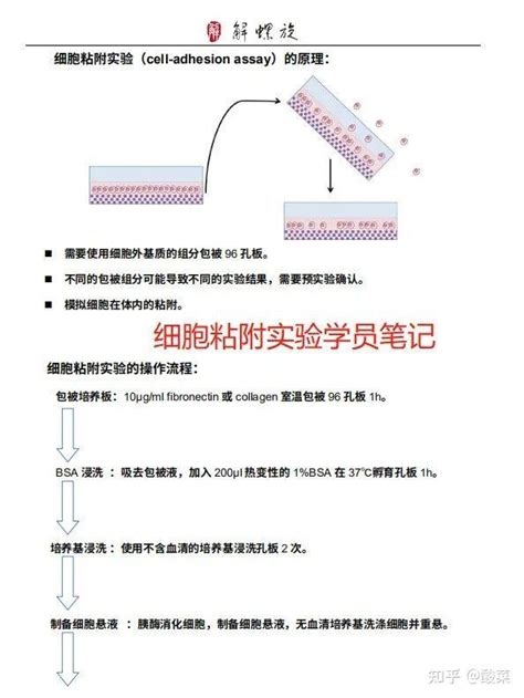 天呐中科院女博士实验笔记遭泄露从此细胞实验不求人 知乎