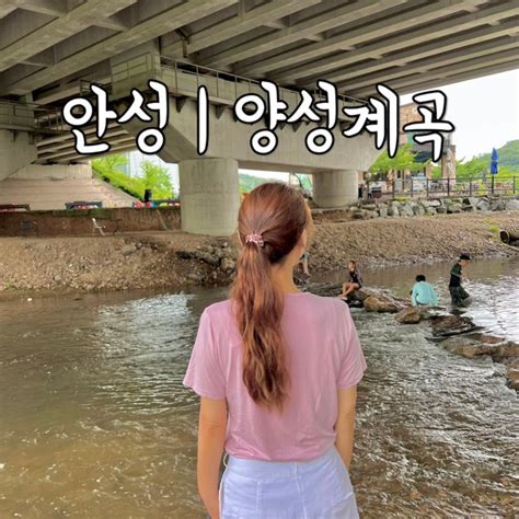 안성 비 오는 날 다리 밑 계곡에서 즐기는 노지 캠핑 양성계곡 네이버 블로그