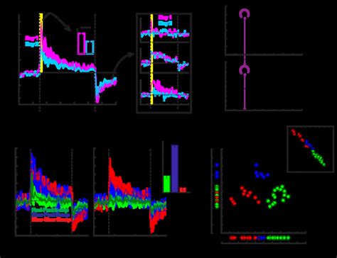 Clustering Of Participants Learning Data Revealed 3 Behavioural