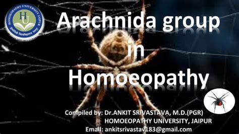 Arachnida Ppt Pps