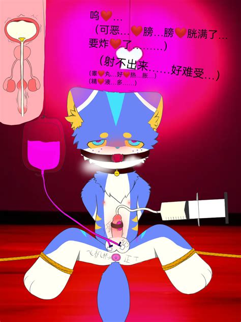 Rule 34 Anthro Bladder Bladder Balloon Bladder Bulge Bladder