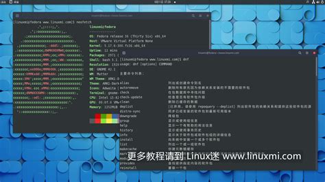 fedora 开发者计划在 fedora linux 39 中用 dnf5 替换 dnf linux迷