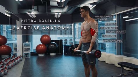 Pietro Bosellis Exercise Anatomy Trailer Youtube