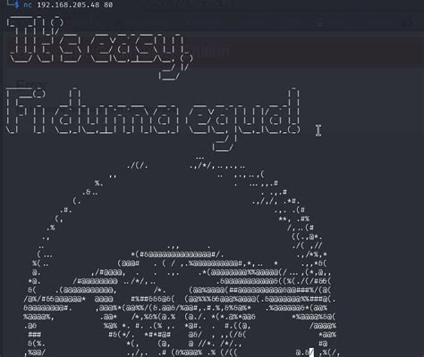 simple ctf walkthrough hello in this article i will show you… by