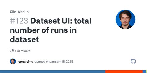 Dataset Ui Total Number Of Runs In Dataset · Issue 123 · Kiln Aikiln