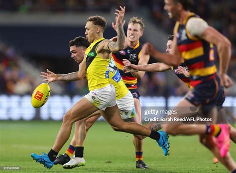 Shai Bolton Of The Tigers During The 2024 Afl Round 13 Match Between Nieuwsfotos Getty Images