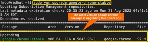 How To Remove A Specific Version Using YUM Easy Methods LinuxSimply