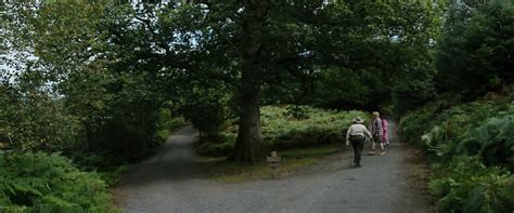 Coccainebeear2023movv Vie Eporner