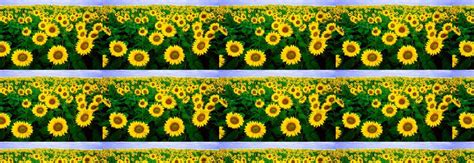 How To Use Background Size In CSS