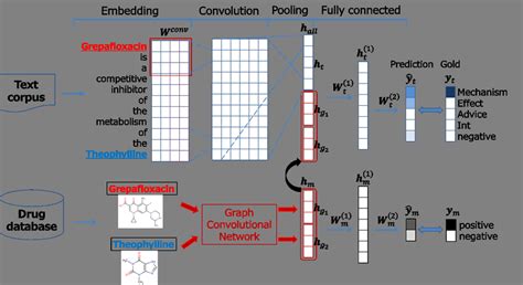 1 Overview Of The Cnn Based Ddi Extraction Model That Use Molecular