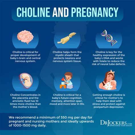 Choline Signs Of Deficiency Benefits And Food Sources