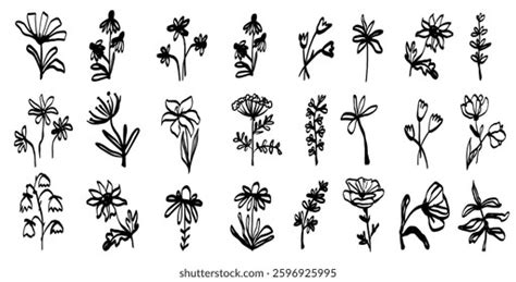 1 Hundred Garden Simple Scroll Border Royalty Free Images Stock