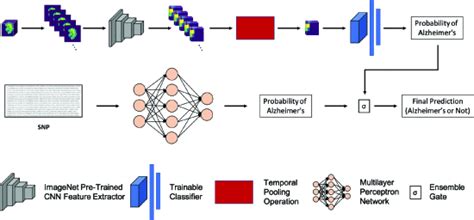 Ad Multi Modal Data Analysis For Alzheimers Disease Diagnosis An Ensemble Model Using