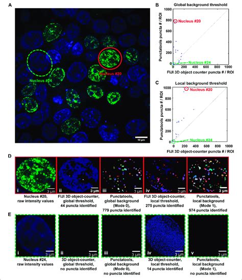 comparison of puncta segmentation performance punctatools versus