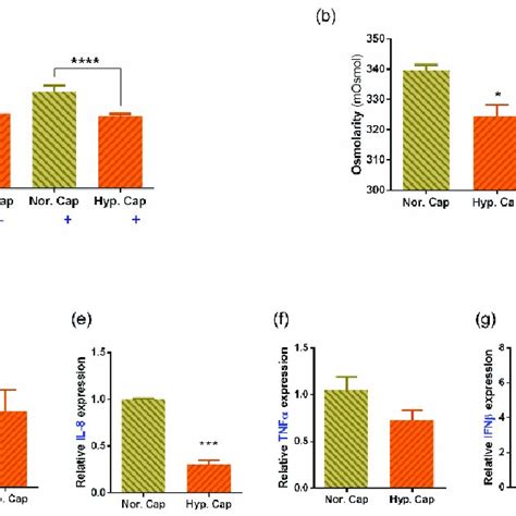 Effect Of Hypercapnia On The Expression Of Mucins In Human