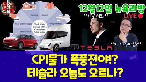 미국주식시장전망cpi전야전기차 에너지 바이오 인공지능 테크 반도체테슬라 엔비디아 루시드 리비안 니오 구글애플아마존페북마소