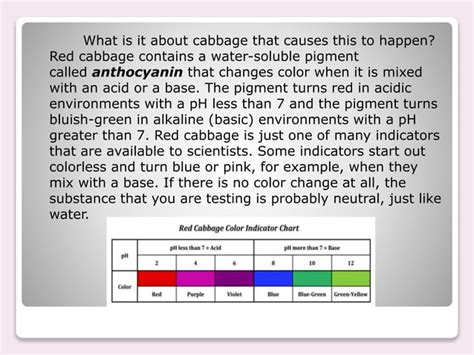 Red Cabbage Chemistry PPTX Chemistry Science