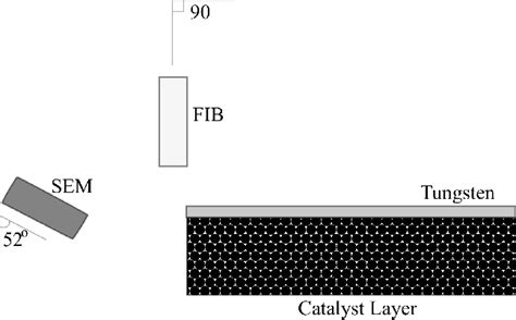 Schematic Of The Fib Sem Imaging Setup Download Scientific Diagram