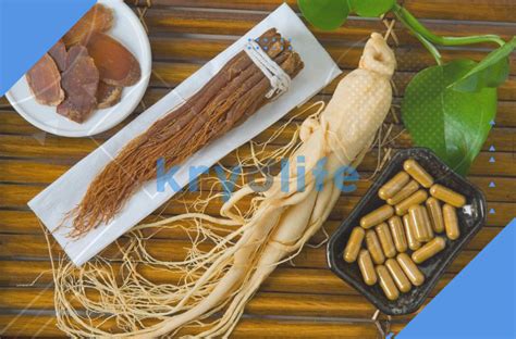 Which Ginseng Is Best For Erectile Dysfunction Kryolife Health