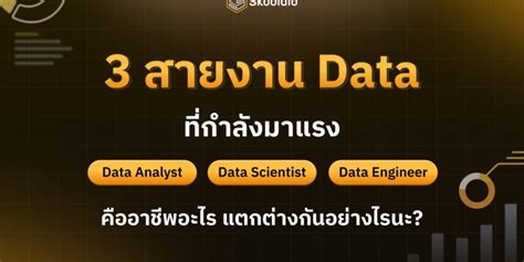 สายงาน Data Analyst Data Scientist Data Engineer ต่างกันอย่างไร