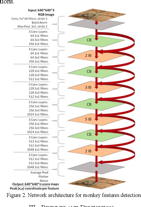 Figure 1 From Primate Markerless Pose Estimation And Movement Analysis