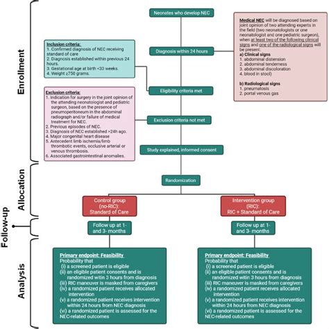 Trial Flowchart According To Consort Guidelines Download Scientific Diagram