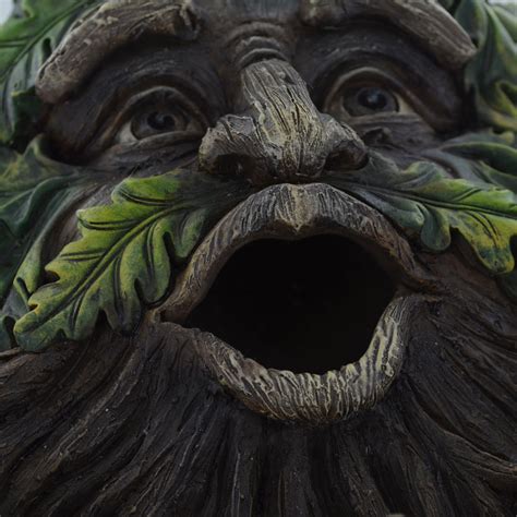 Tree Ent Face Plaque Bird Feeder And House