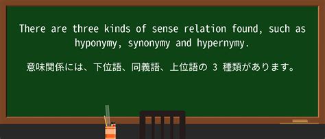 【英単語】hyponymyを徹底解説！意味、使い方、例文、読み方 おもしろい英文法