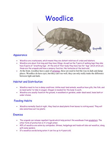 Woodlice Fact Sheet By Raj Nandhra Teaching Resources Tes