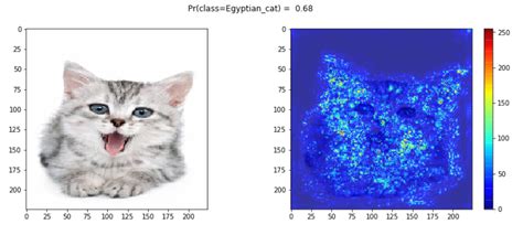 creating class activation map and saliency maps using vgg16 in machine