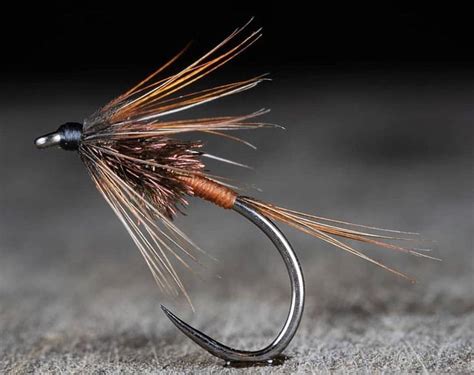 Nice Variation Of The Classic Poacher Wet Fly 🙌 📷 Timsickles Fly