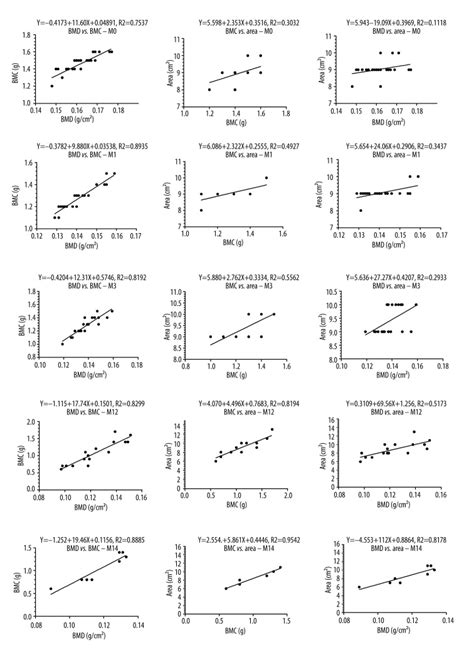 Shows The Interrelationships Between BMD Vs BMC BMC Vs Area And BMD Download Scientific