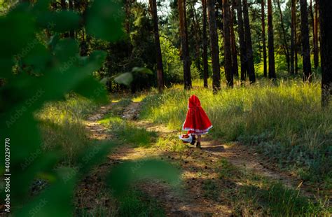 Little Red Riding Hood Forest
