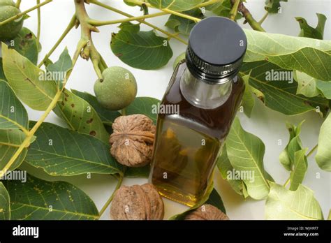 Walnut Oil In A Small Bottle Stock Photo Alamy