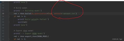 关于如何将pytorch模型转换为onnx及onnx转换为rknnonnx转rknn Csdn博客