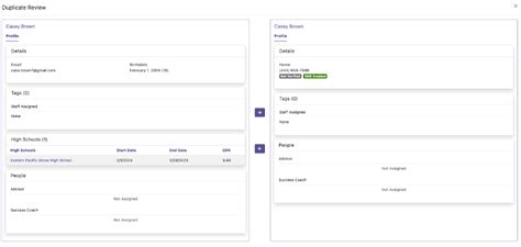 Automated And Manual Duplicate Detection Watermark