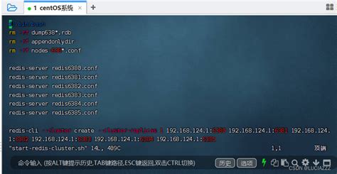 Linux脚本执行报错：坏的解释器 没有那个文件或目录 Csdn博客